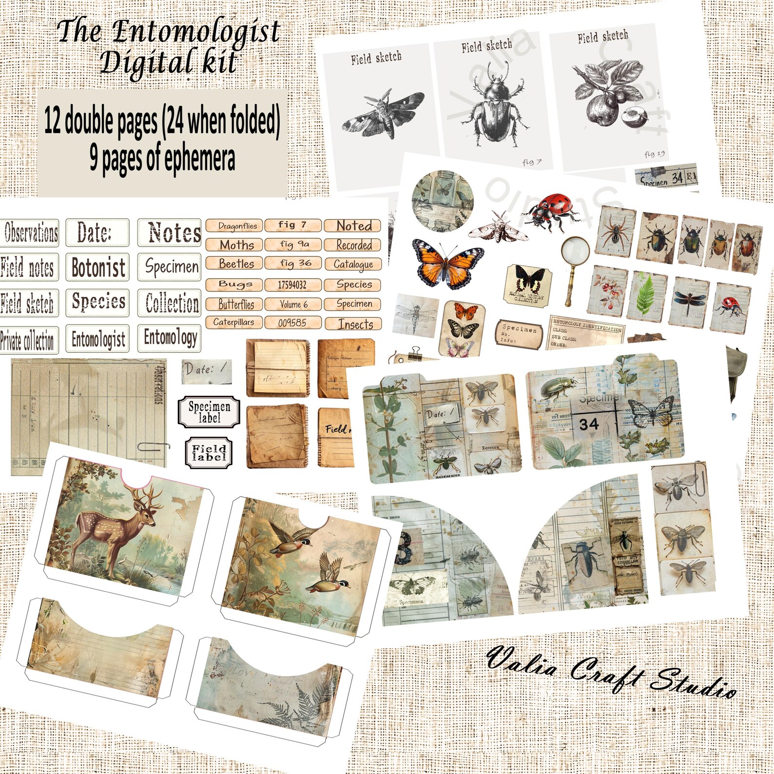 Digital Kit, the Entomologist Digital Kit, Printable, Valia Craft ...