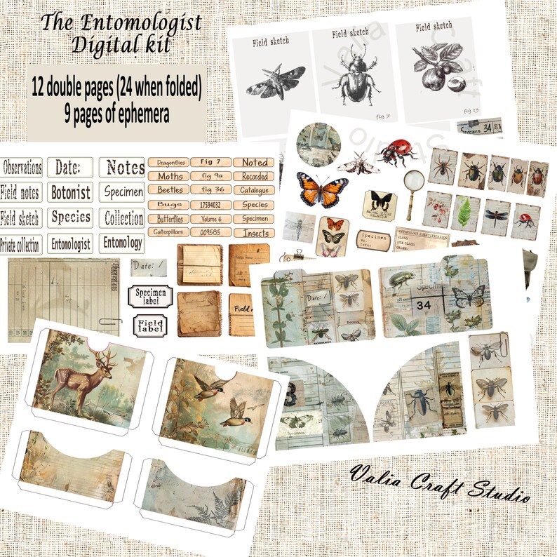 Digital Kit, the Entomologist Digital Kit, Printable, Valia Craft ...