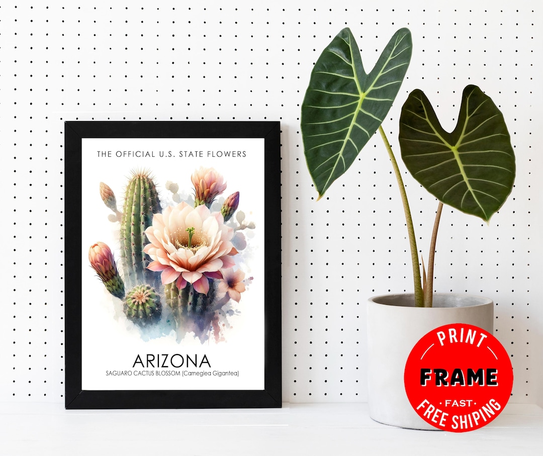 Arizona State Flower (saguaro Cactus Blossom) Framed Poster, Arizona ...