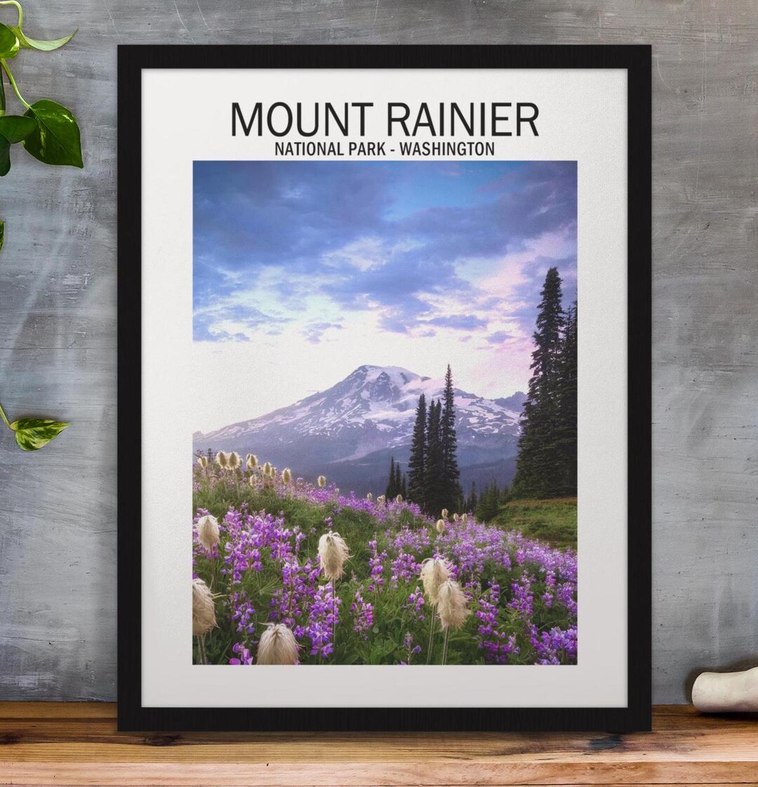 Mount Rainier National Park -washington- Framed US National Park ...