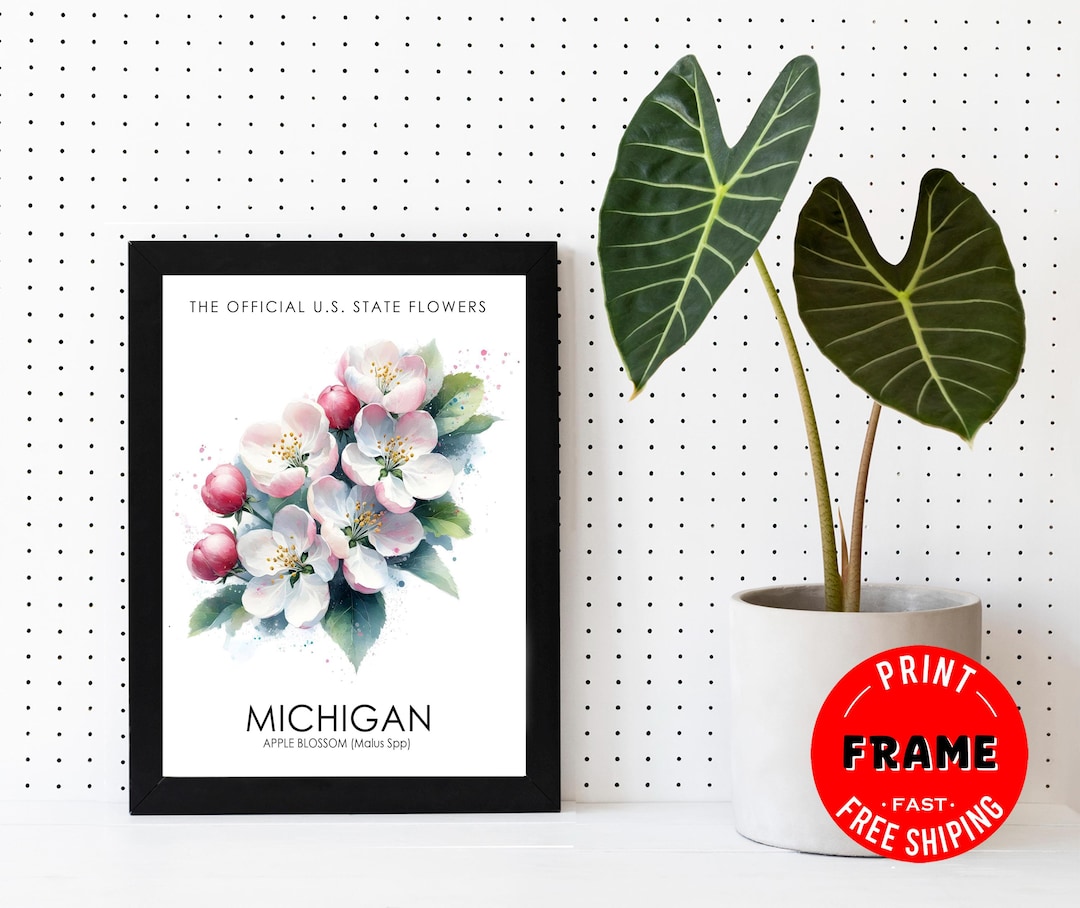 Michigan State Flower (mayflower) Framed Poster, Michigan Offical State ...