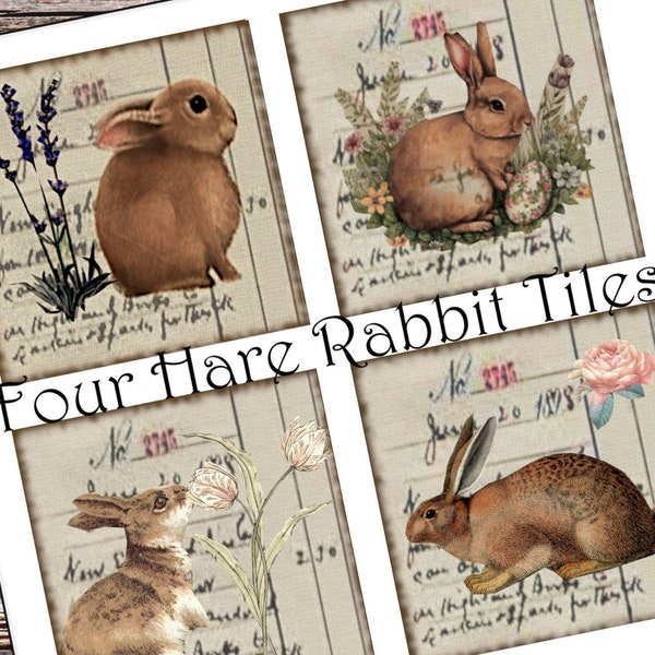 Vintage Hare Printable - Etsy