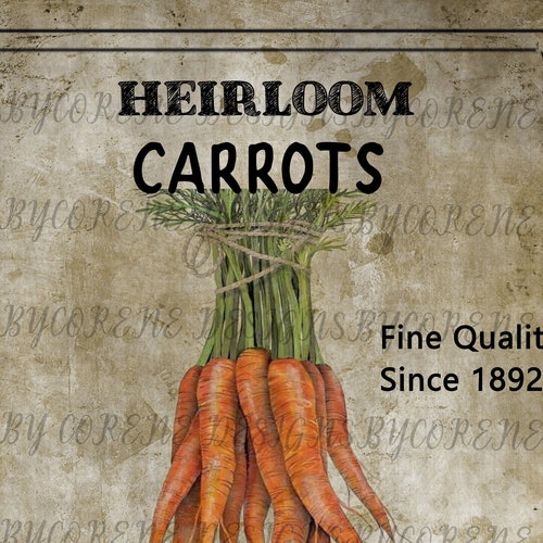 Primitive Vintage Carrot Wall Art Labels Cards Tags Ornies - Etsy