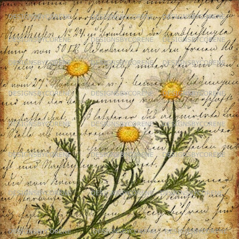 Primitive Printables - Etsy