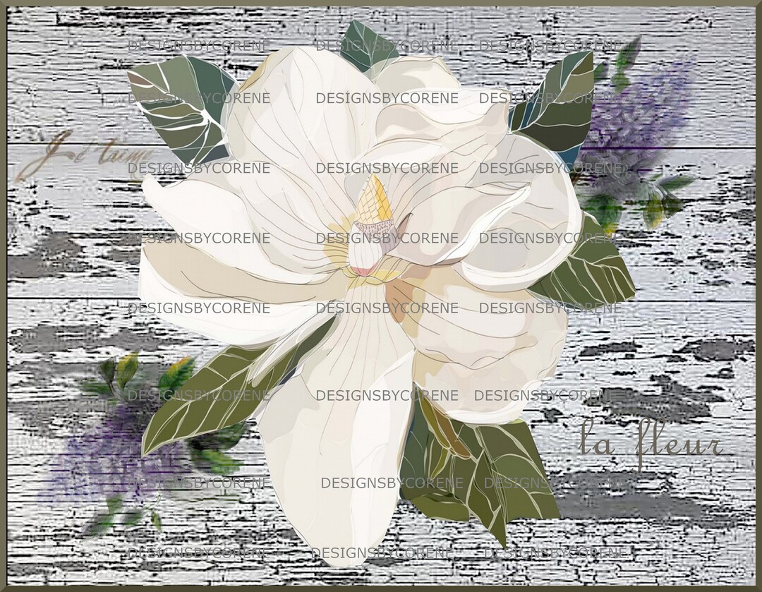 Rustic Magnolia Floral Primitive French Shabby Wall Art - Etsy