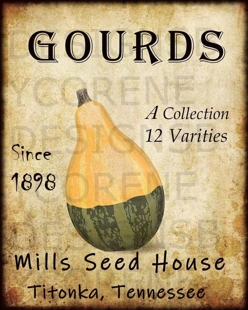 Primitive Vintage Gourd Seed Catalog Print Digital Image - Etsy