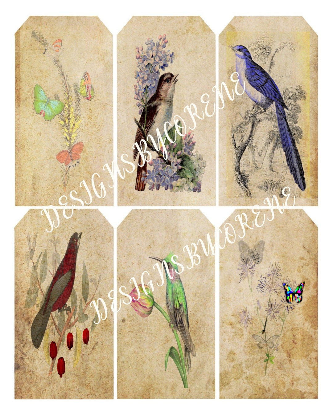 Set of Six Vintage Birds and Butterfly Tags Digital Download Image ...