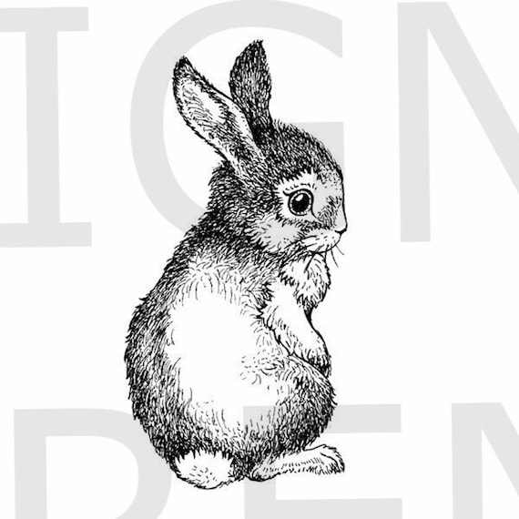 Printable Bunny Rabbit Drawing Clip Art Instant Digital | Etsy