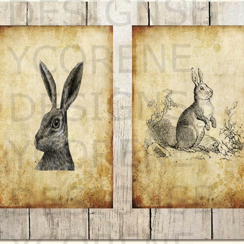 Primitive Vintage Hare Bunny Rabbit Jpeg Digital Image - Etsy