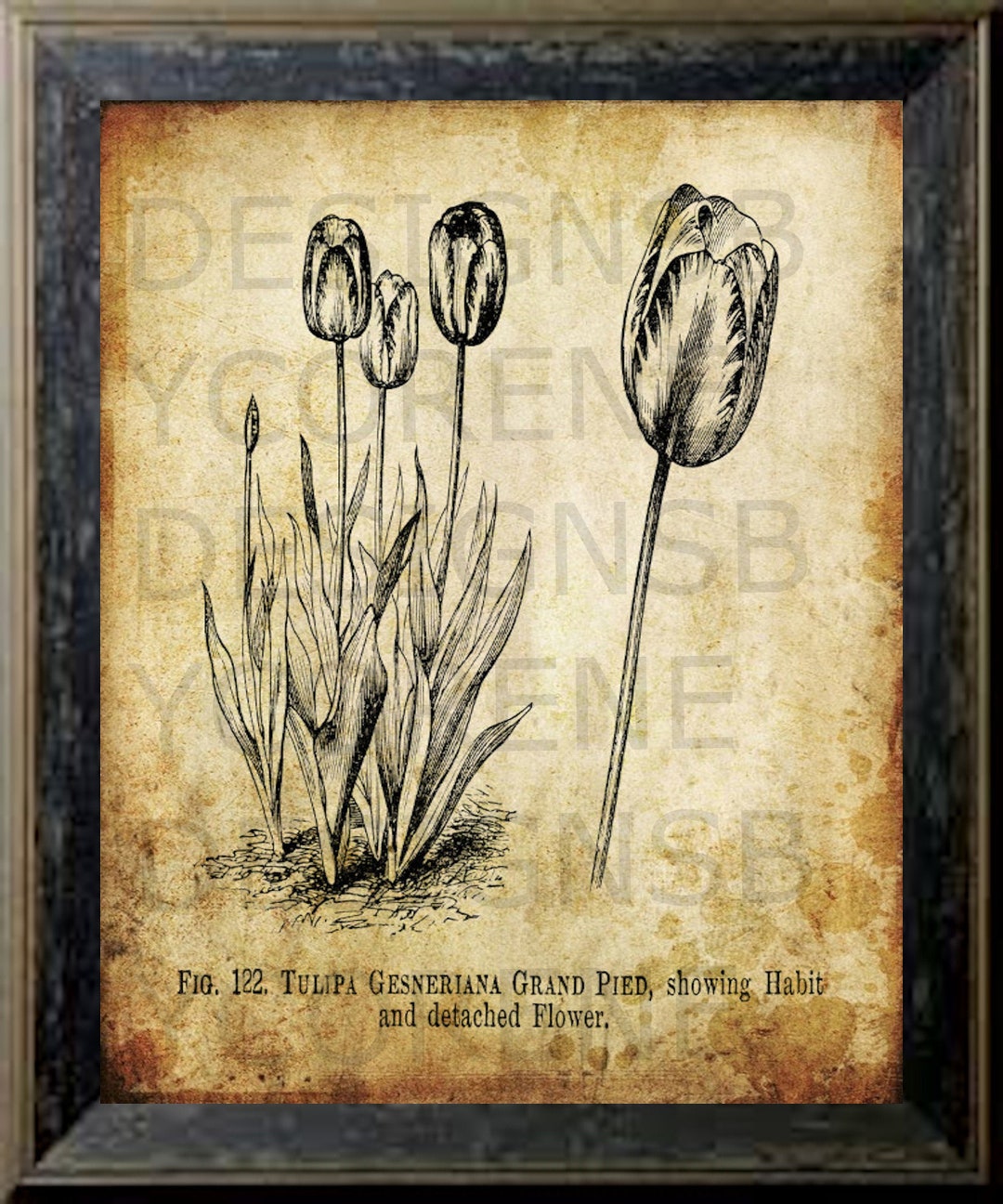Primitive Botanical Tulip Floral Art Print Rustic Decor - Etsy