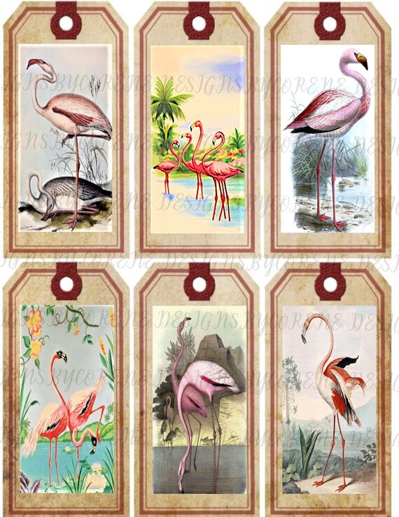 Flamingo Tags/gifttags Vintage Digital Collection Printable - Etsy