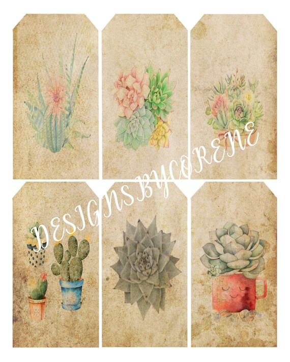 Succulent Gift Tag Set of Six Download Digital Printable - Etsy