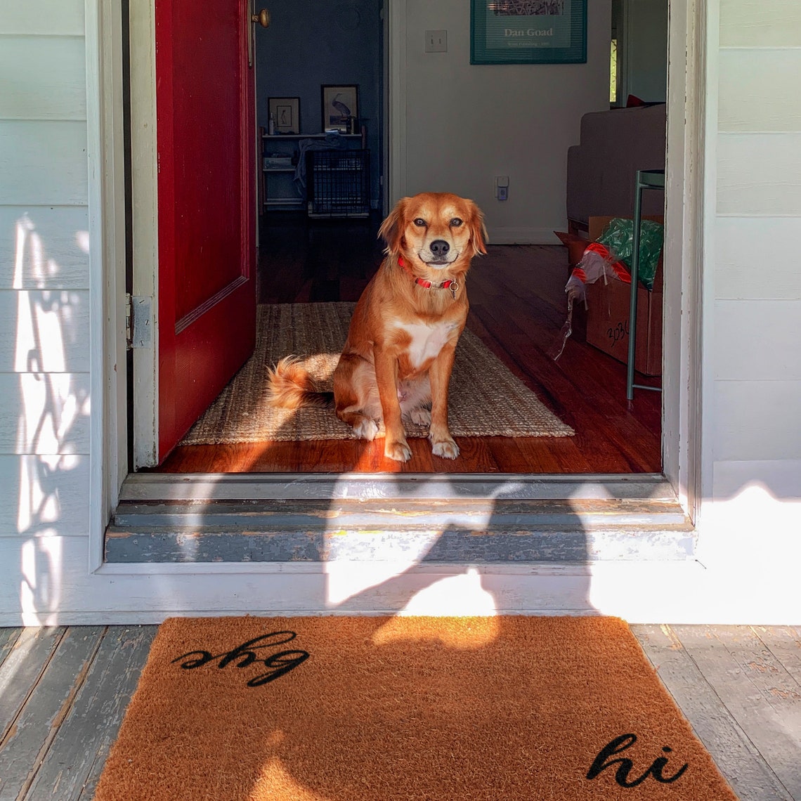 Hi Bye Doormat Hi Bye Door Mat Hi Bye Door Mat Bye Doormat | Etsy