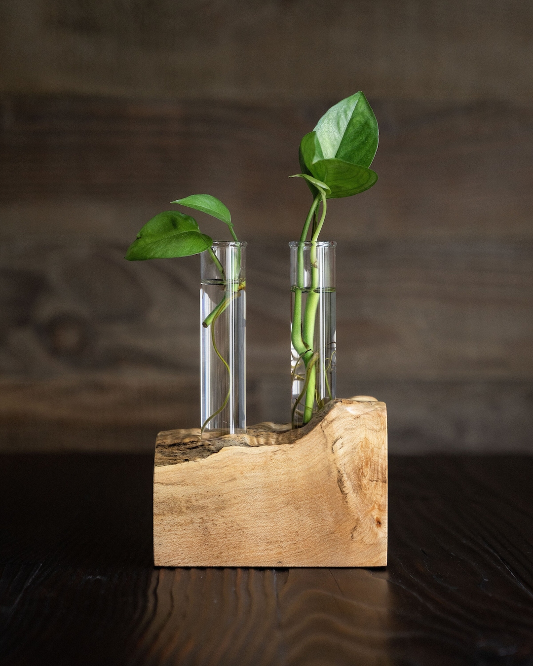 Propagation Station/plant Holder/propagation Planter/live Edge ...