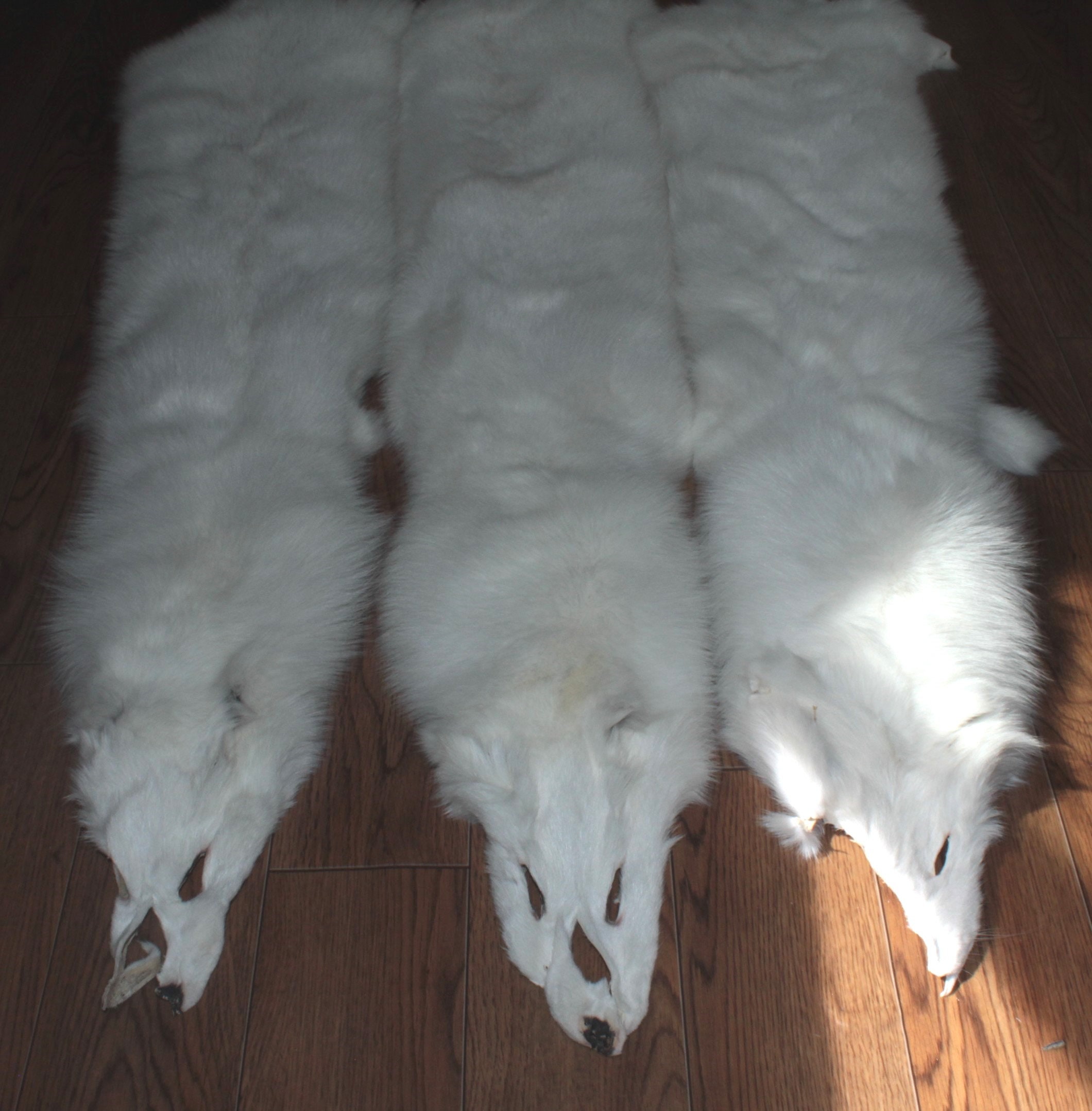 Natural Arctic fox fur / Big fox hide / foxskin / fox pelt / | Etsy