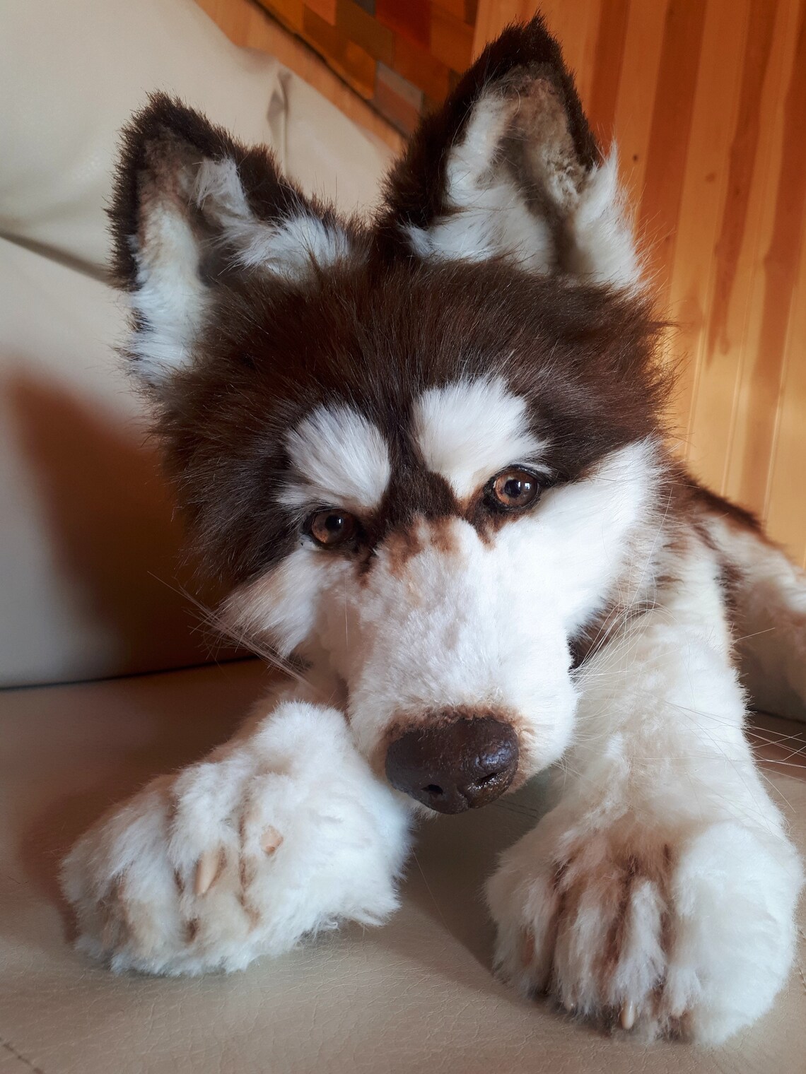 Realistic husky toy. Toy. Plush dog. Plush toy. Teddy dog | Etsy