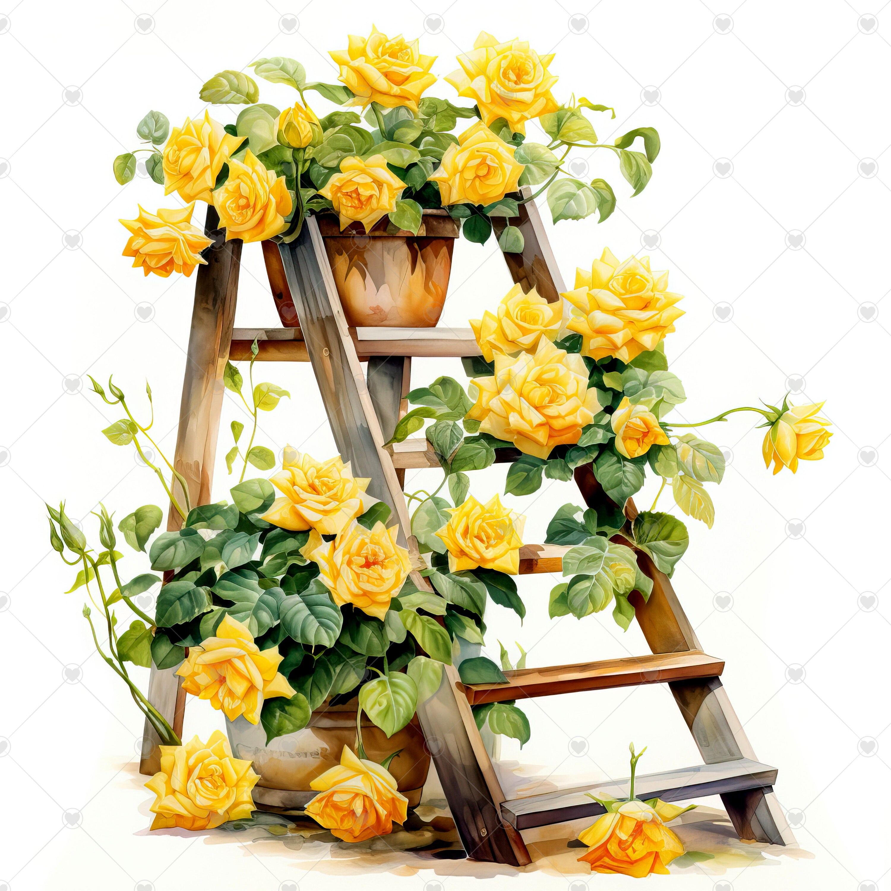 Wooden Step Ladder With Yellow Roses Clipart Bundle 10 High - Etsy