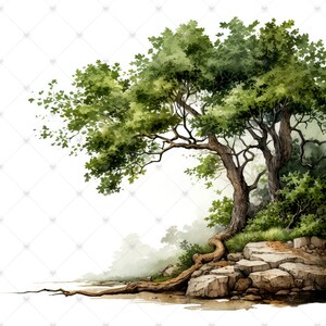 Tree Growing From Stone Page Border Corner Clipart Bundle- 10 High ...