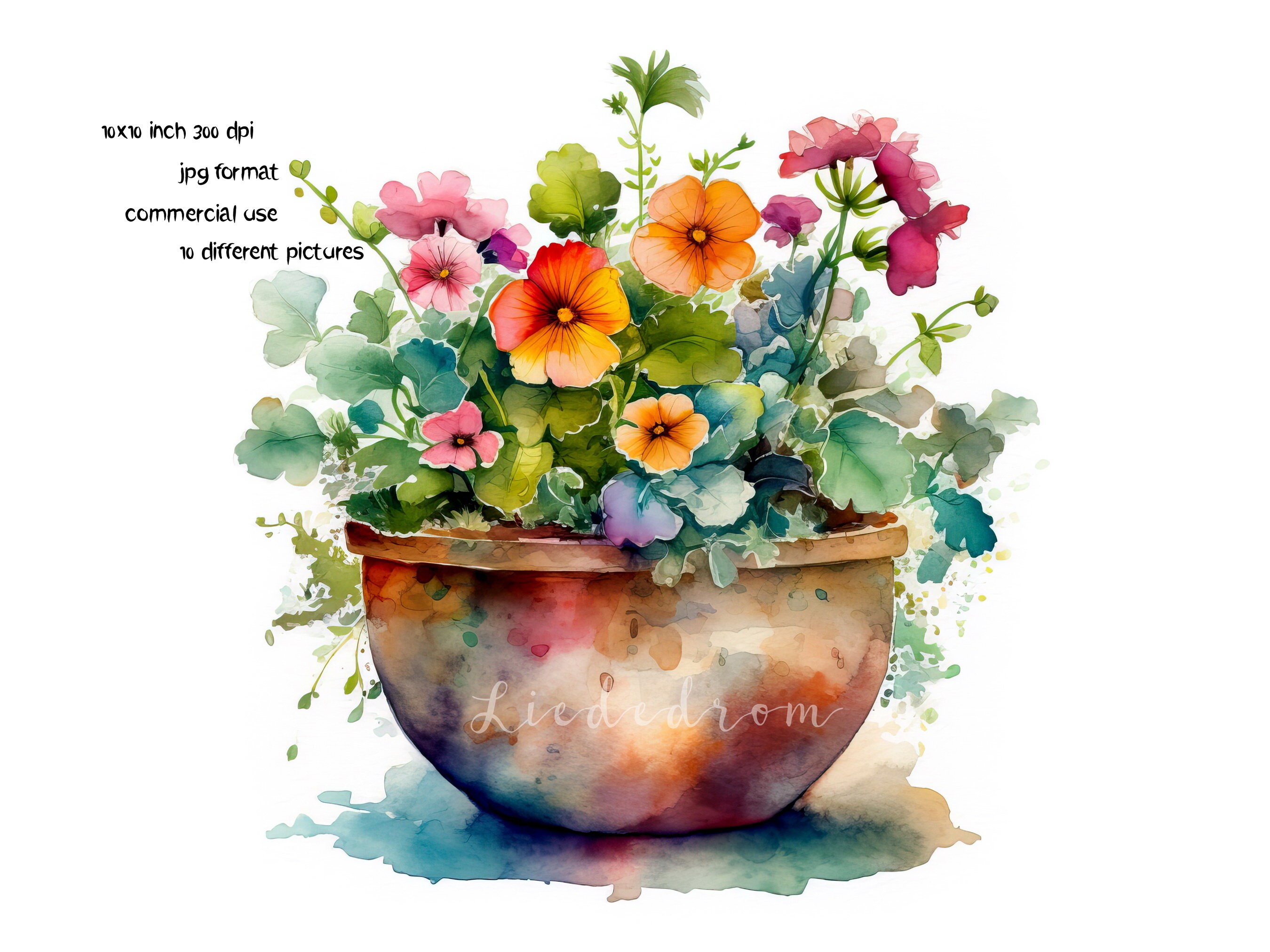 Spring Flowers in Pot Clipart Bundle 10 High Quality - Etsy
