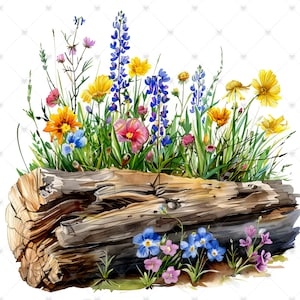 Wildflowers on a Log Clipart Bundle- 10 High Quality Watercolor Jpgs ...
