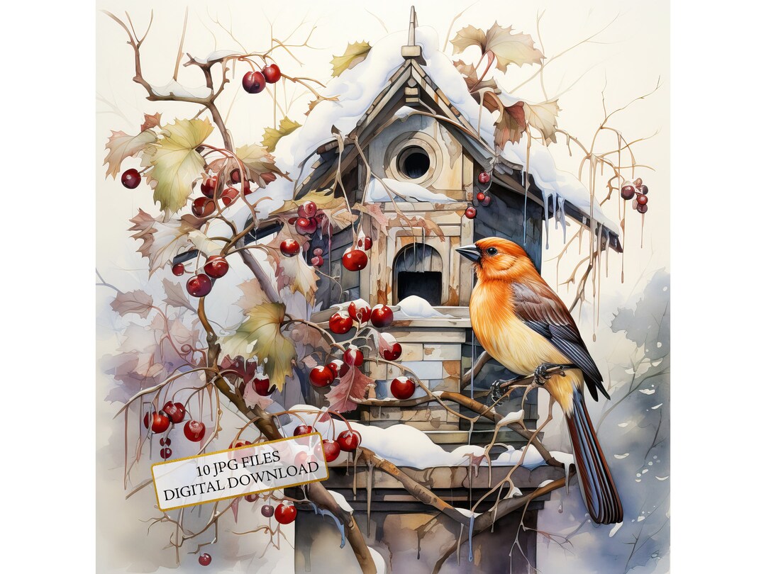 Birdhouse in Snowy Winter Clipart Bundle- 10 High Quality Watercolor ...