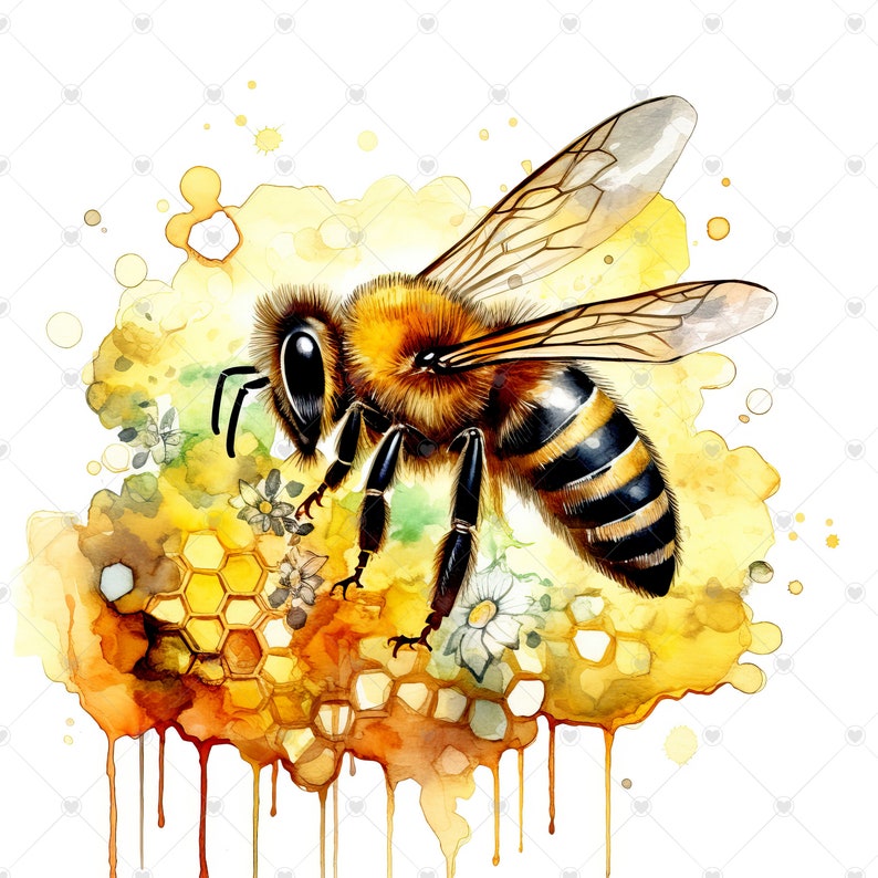 Honey Bee Clipart Bundle 10 High Quality Watercolor Jpgs - Etsy