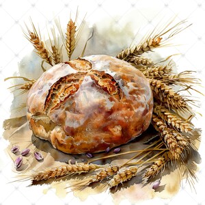 Rustic Bread With Wheat Clipart Bundle- 10 High Quality Watercolor Jpgs ...