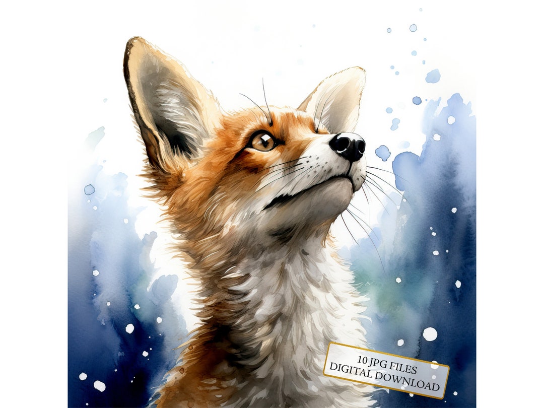 Fox Gazing up on the Sky in Wonder Clipart Bundle- 10 High Quality ...