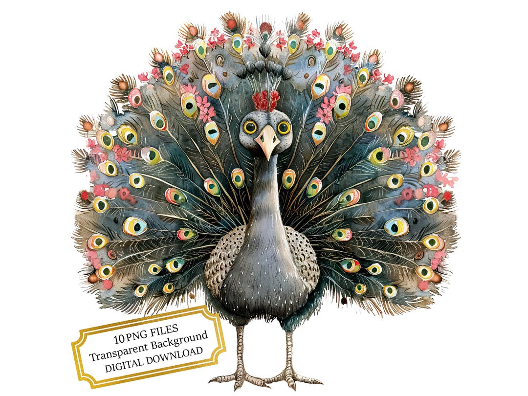 Adorable Curious Peacock Clipart Bundle- 10 High Quality Watercolor ...