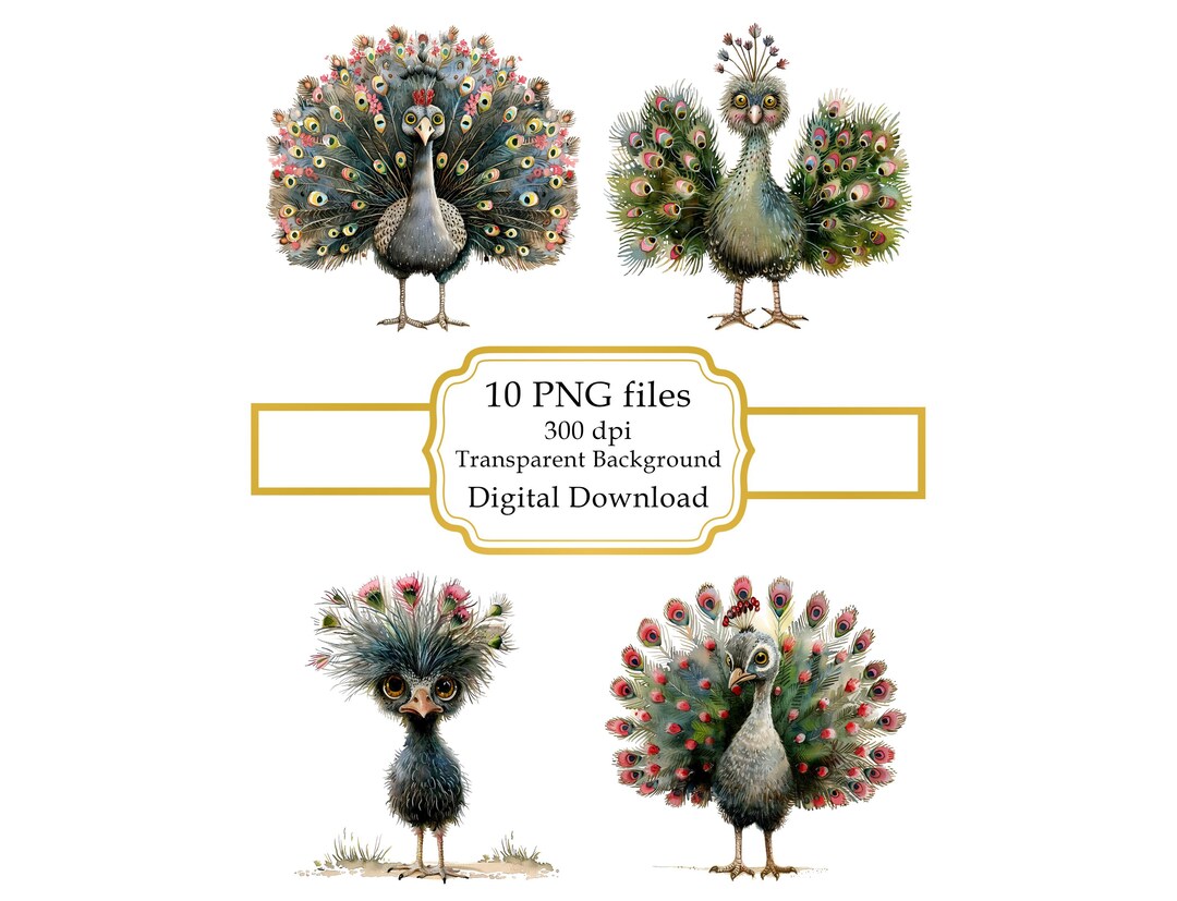 Adorable Curious Peacock PNG Clipart Bundle- Digital Download - Etsy