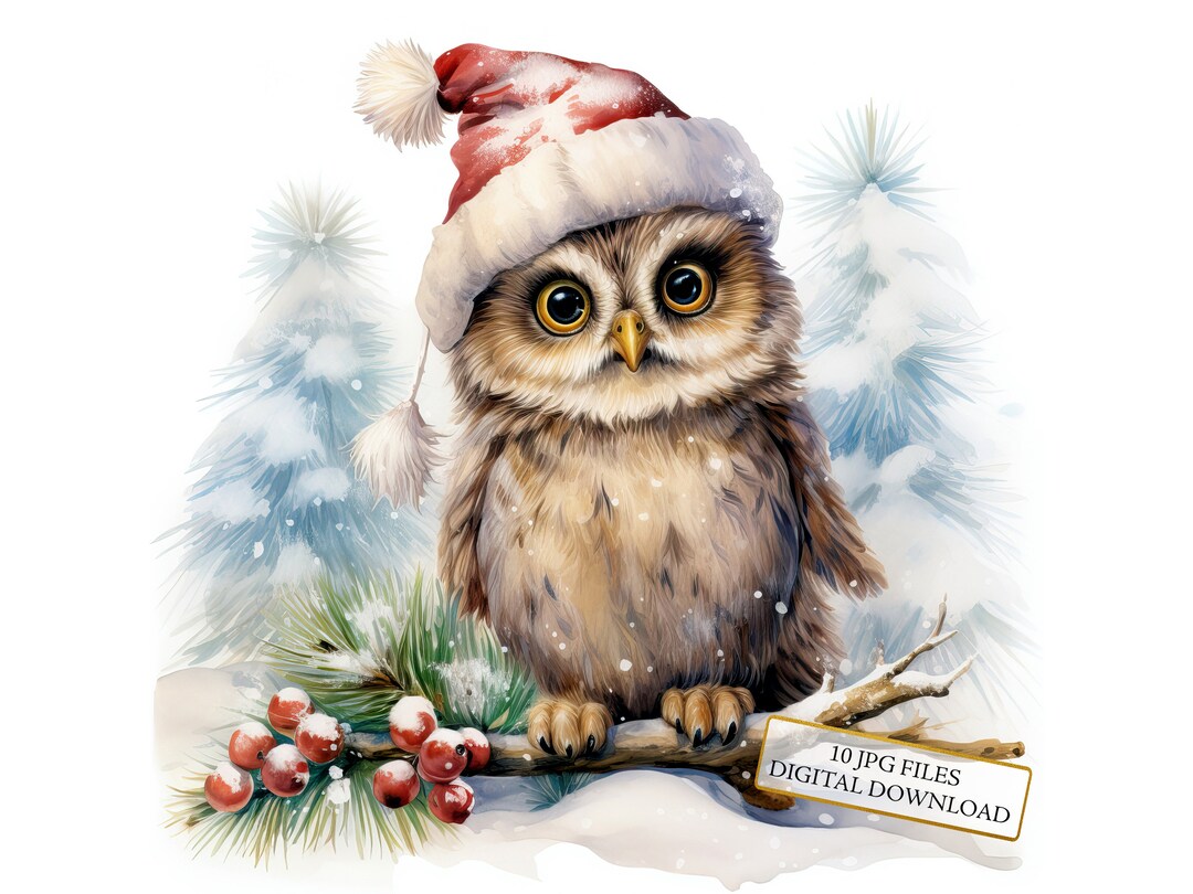 Adorable Christmas Owl Clipart Bundle- 10 High Quality Watercolor Jpgs ...