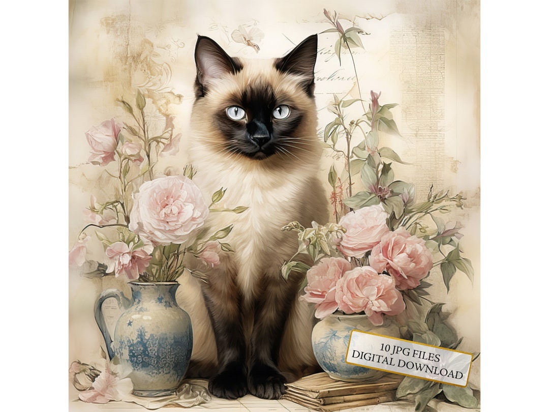 Shabby Chic Siamese Cat With Flowers Clipart Bundle- 10 High Quality ...
