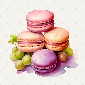 Pastel Macarons With Grapes Clipart Bundle 10 High Quality Watercolor ...