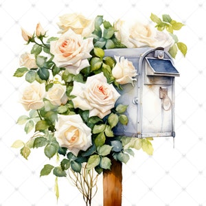 Mailbox With White Roses Clipart Bundle- 10 High Quality Watercolor ...