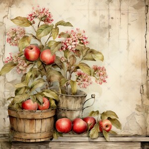 Shabby Chic Harvest of Apples Clipart Bundle- 10 High Quality ...