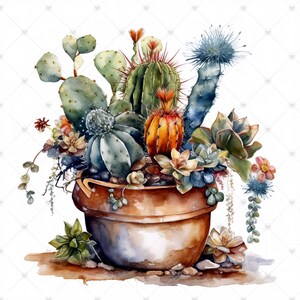 Cactus in Flower Pot Clipart Bundle- 10 High Quality Watercolor Jpgs ...