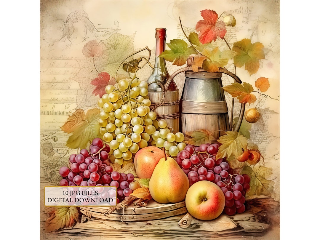 Shabby Chic Still Life Fruits Clipart Bundle- 10 High Quality ...
