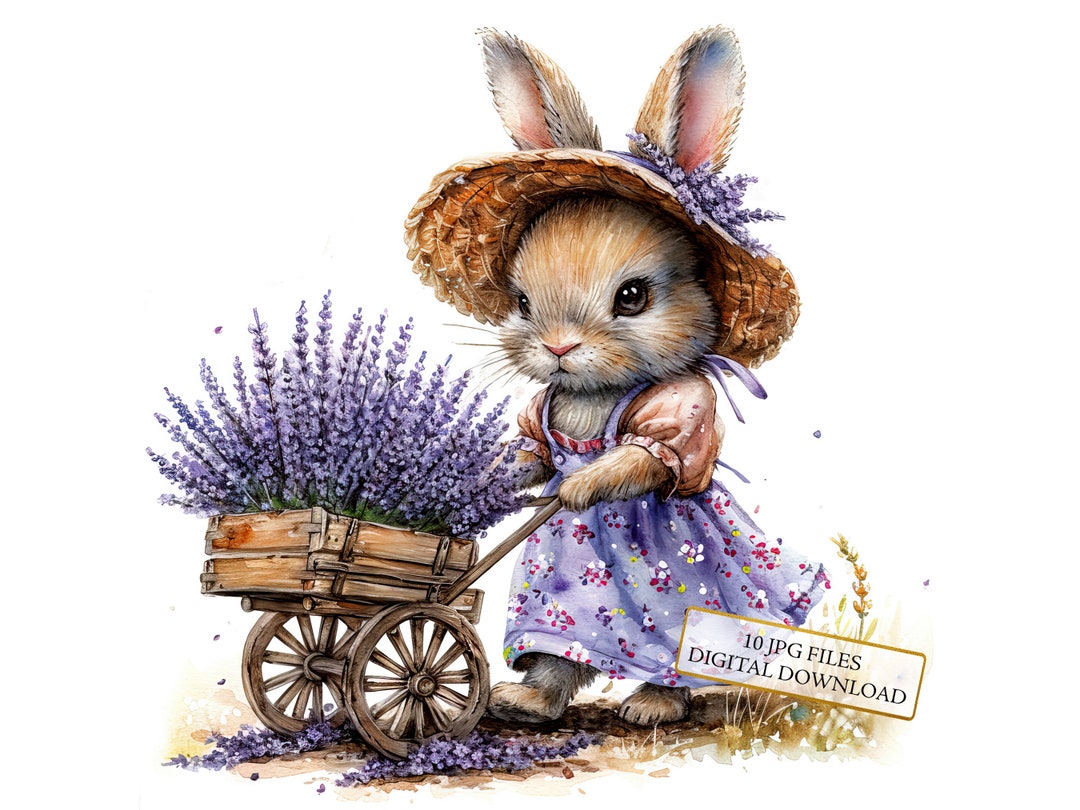 Adorable Little Bunny in Dress With Lavender Clipart Bundle- 10 High ...