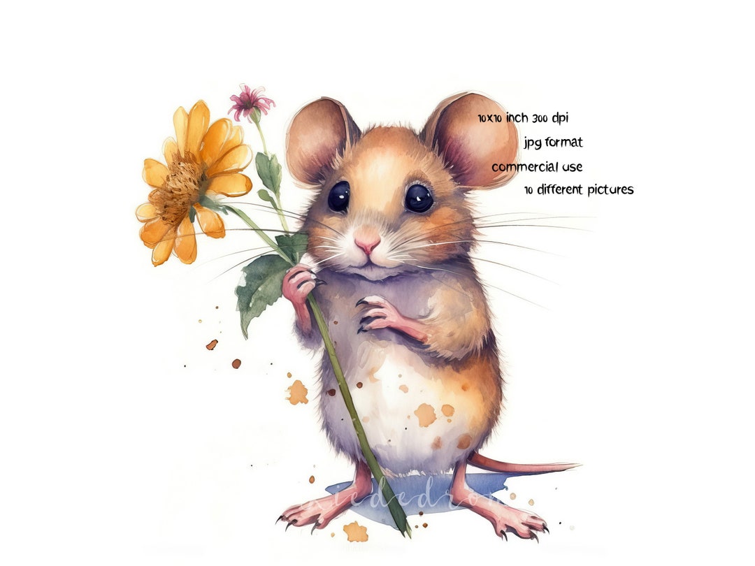 Mouse Holding Flower Clipart Bundle 10 High Quality - Etsy