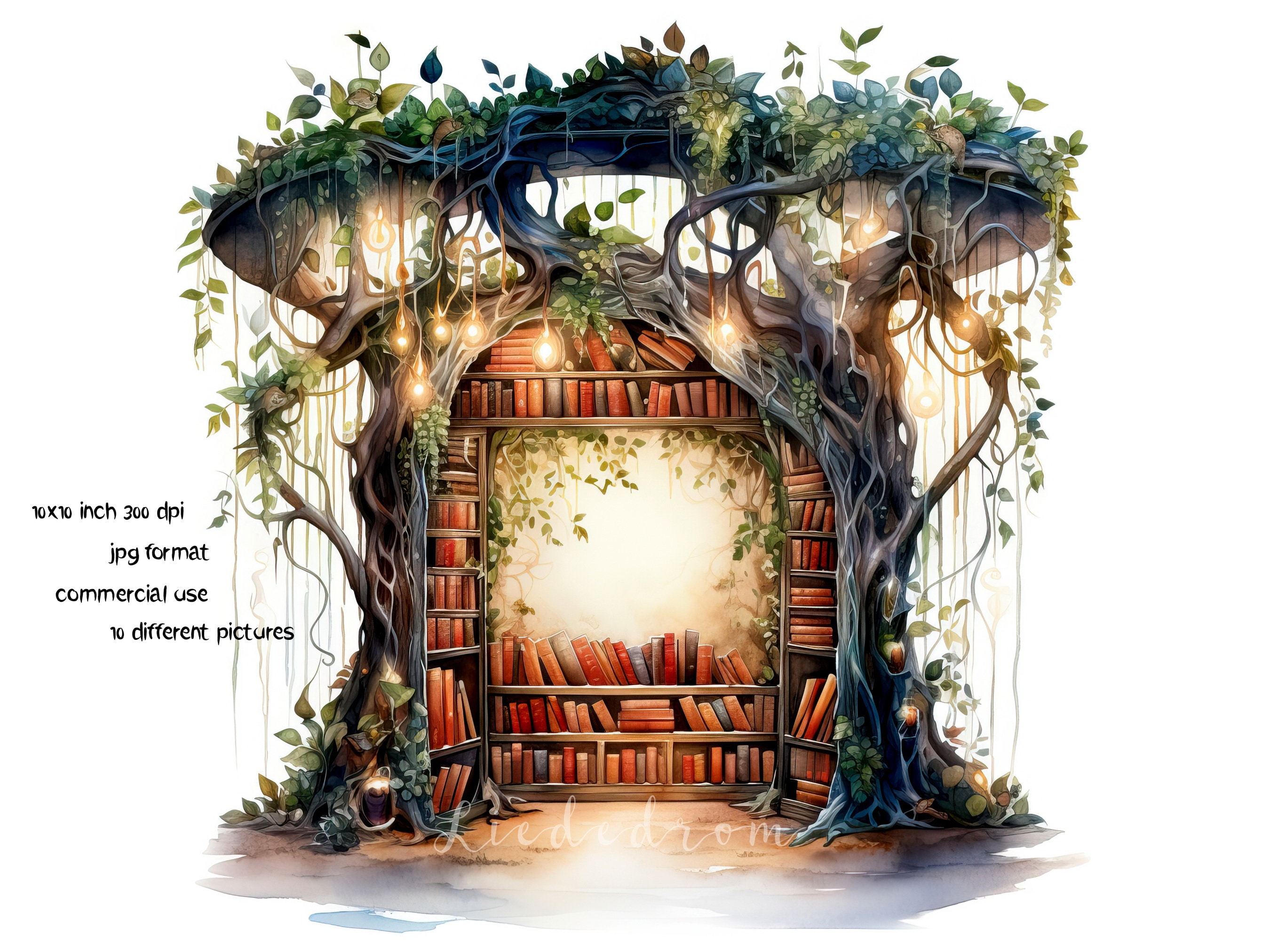 Enchanted Magical Forest Bookshelf Clipart Bundle 10 High - Etsy