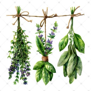 Hanging Kitchen Herbs Clipart Bundle- 10 High Quality Watercolor Jpgs ...