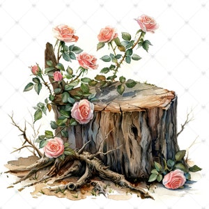 Pink Roses Growing Out of a Tree Stump JPG Clipart Bundle- Digital ...
