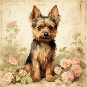 Shabby Chic Yorkshire Terrier With Flowers Clipart Bundle- 10 High ...