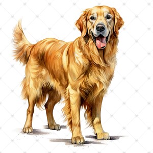 Golden Retriever Dog Clipart Bundle 10 High Quality Watercolor Jpgs Pet ...