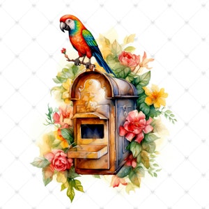 Vintage Floral Mailbox With a Parrot Clipart Bundle- 10 High Quality ...