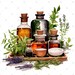 Essential Oils With Herbs Clipart Bundle- 10 High Quality Watercolor ...