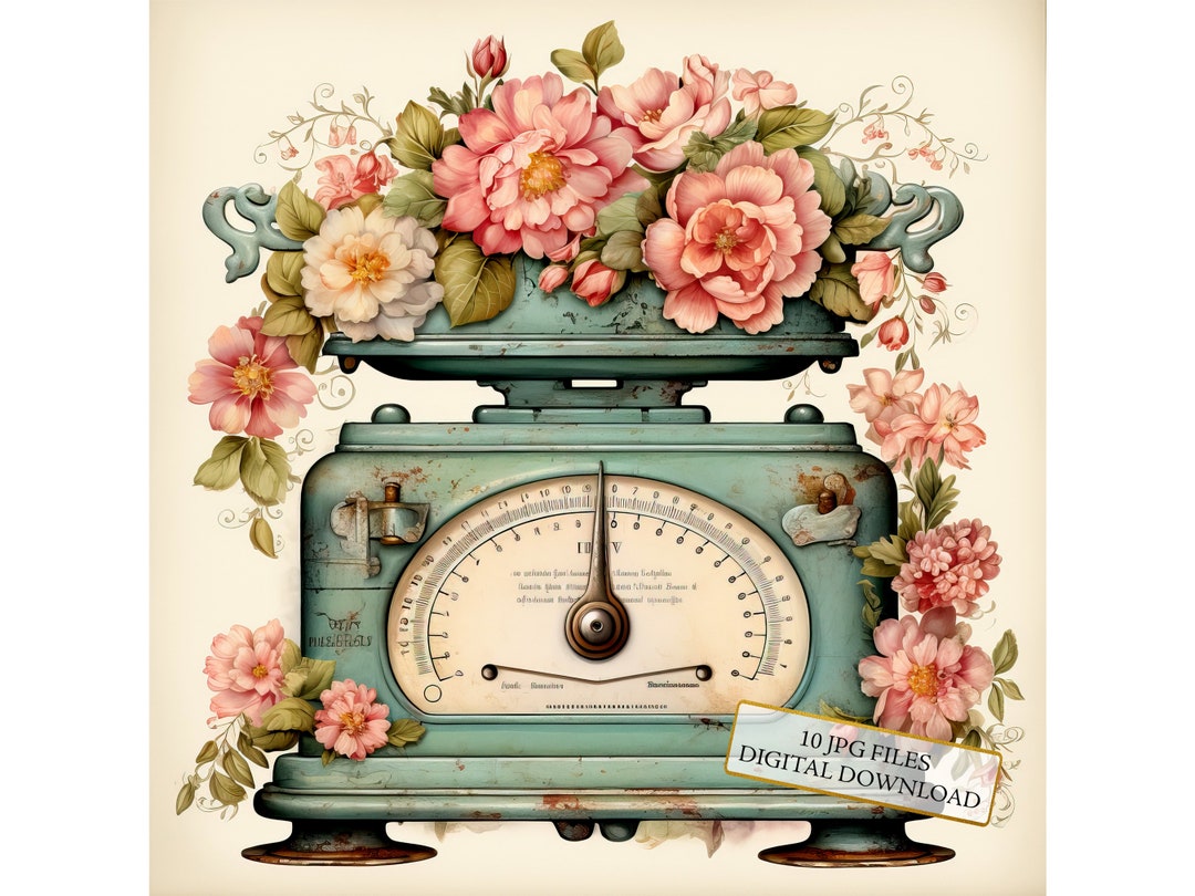 Shabby Chic Retro Kitchen Scale Clipart Bundle- 10 High Quality ...