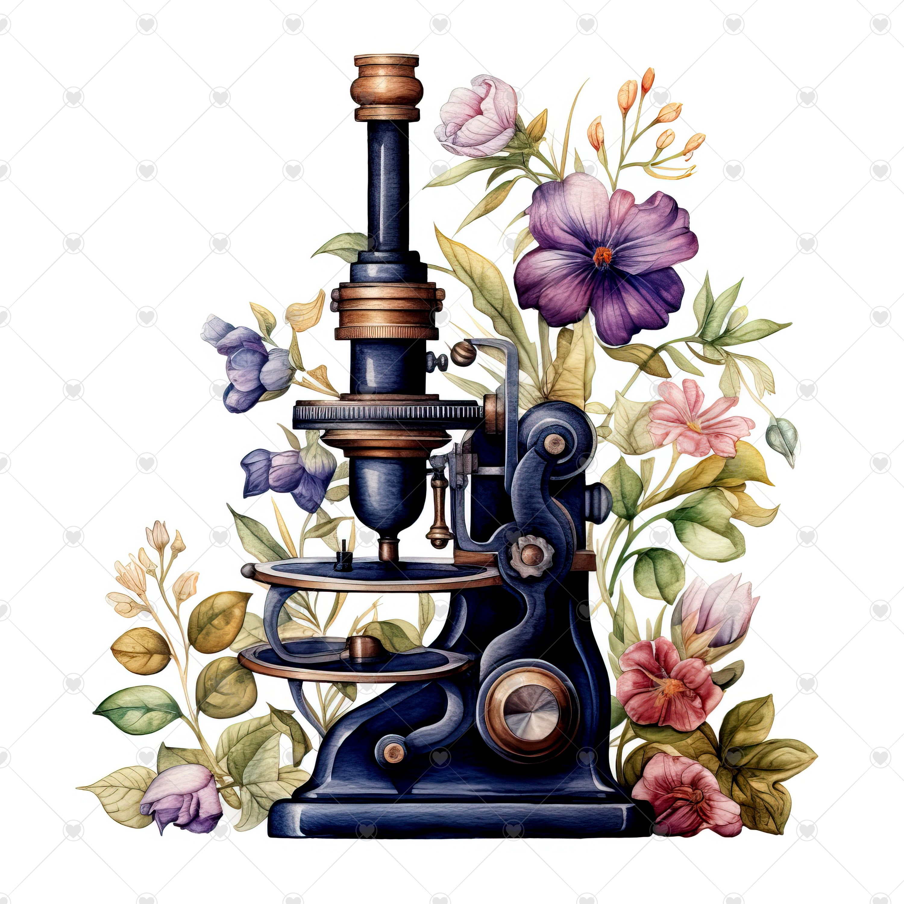 Vintage Microscope With Flowers Clipart Bundle 10 High - Etsy