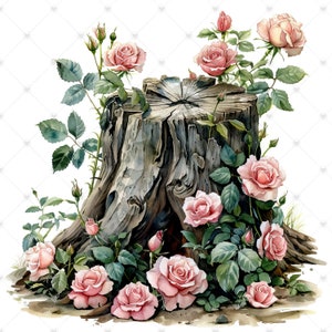 Pink Roses Growing Out of a Tree Stump JPG Clipart Bundle- Digital ...