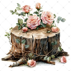 Pink Roses Growing Out of a Tree Stump JPG Clipart Bundle- Digital ...